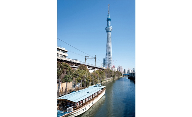 KYB damper Japan Tokyo tree, 強固企業有限公司